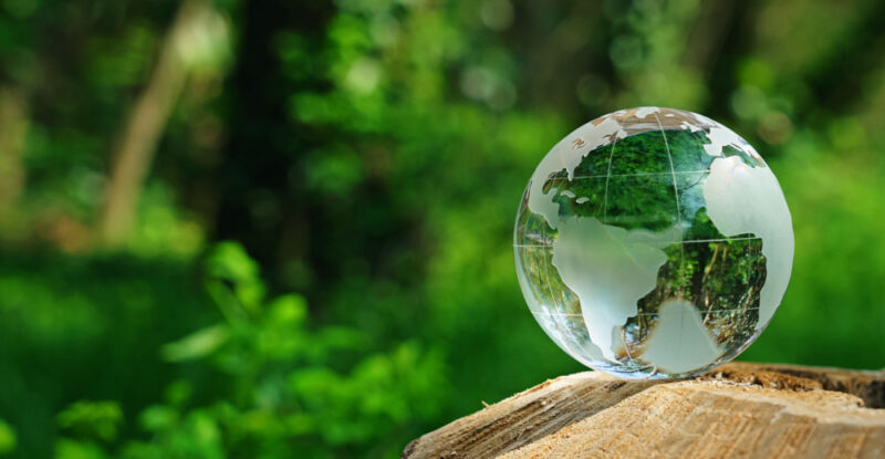 Are glass partitions sustainable? - Glass Interiors